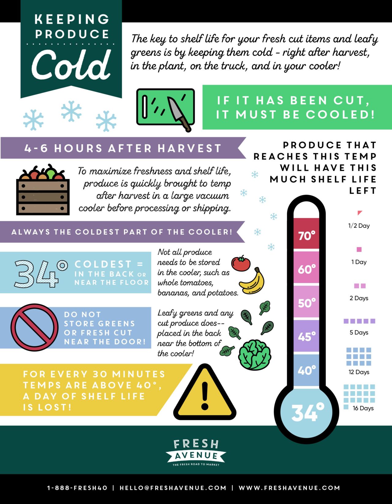 Keeping Produce Cold - Infographic - Fresh Avenue