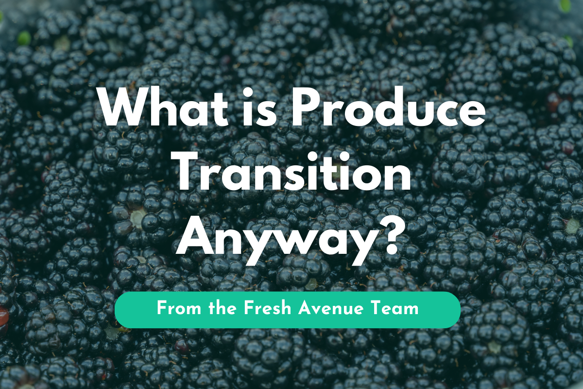 What is Produce Transition Anyway? - Fresh Avenue